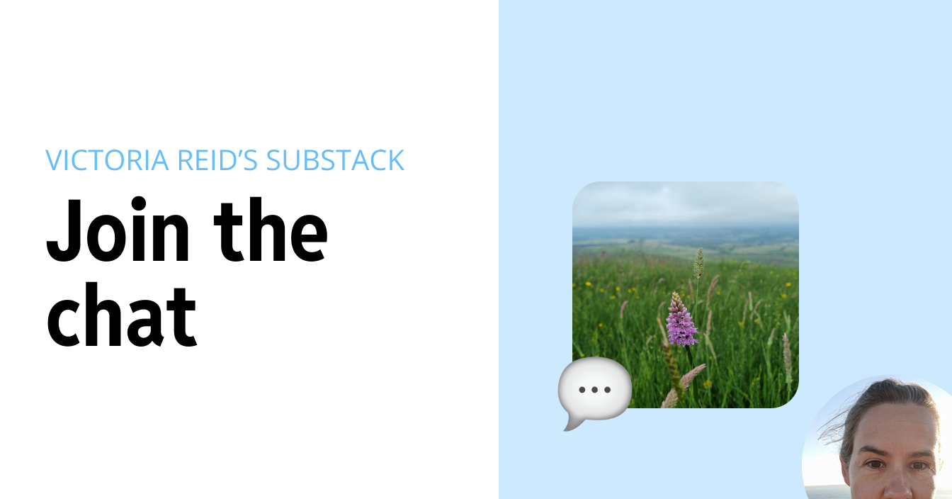 Victoria Reid’s Substack chat