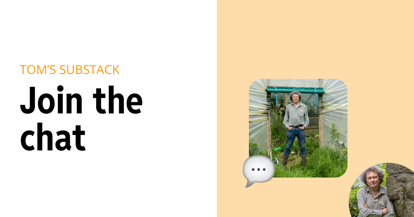 Tom’s Substack chat