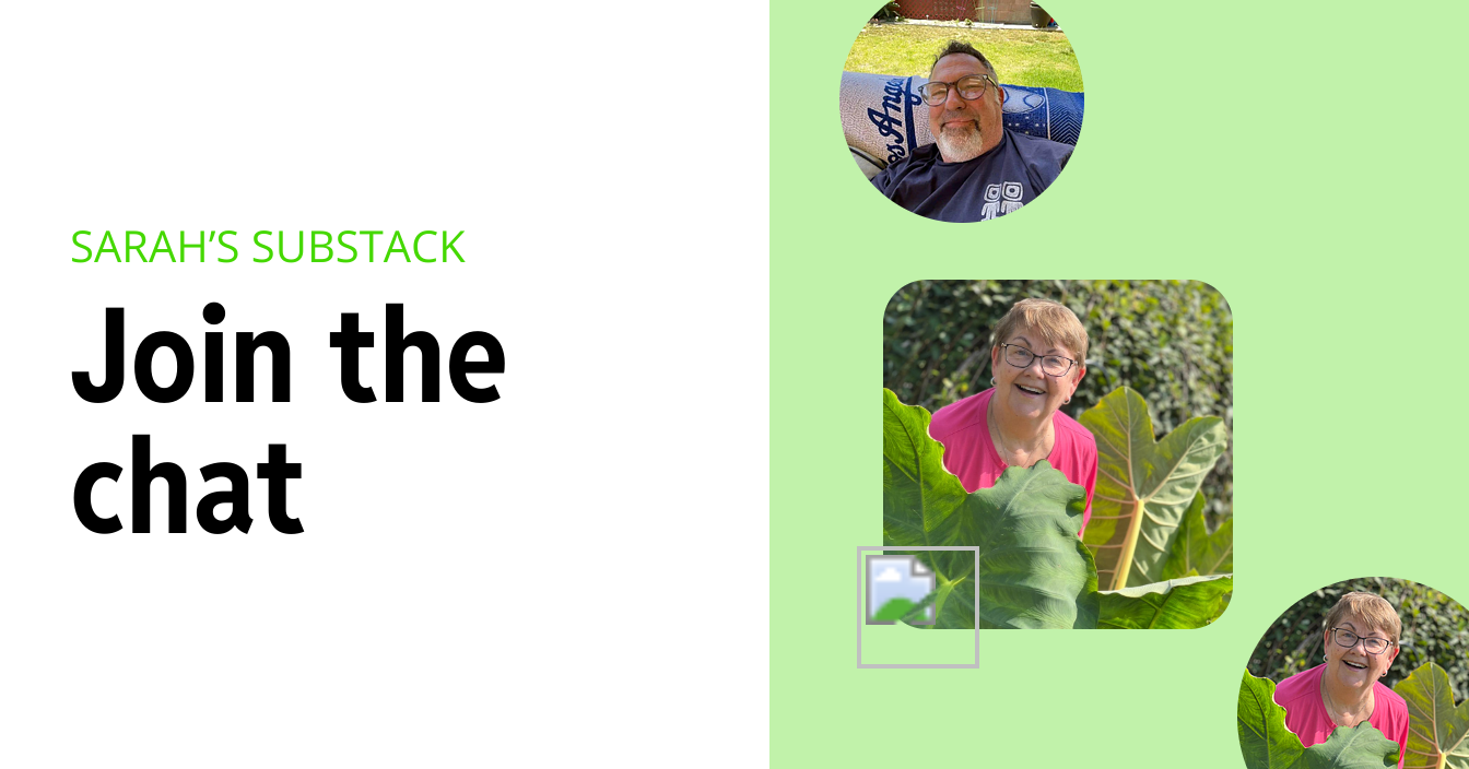 Sarah’s Substack chat