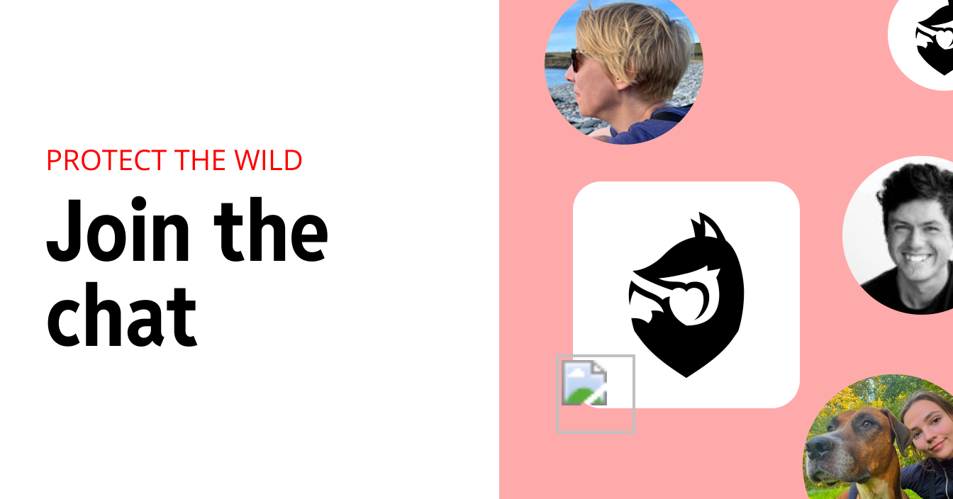 Protect the Wild chat