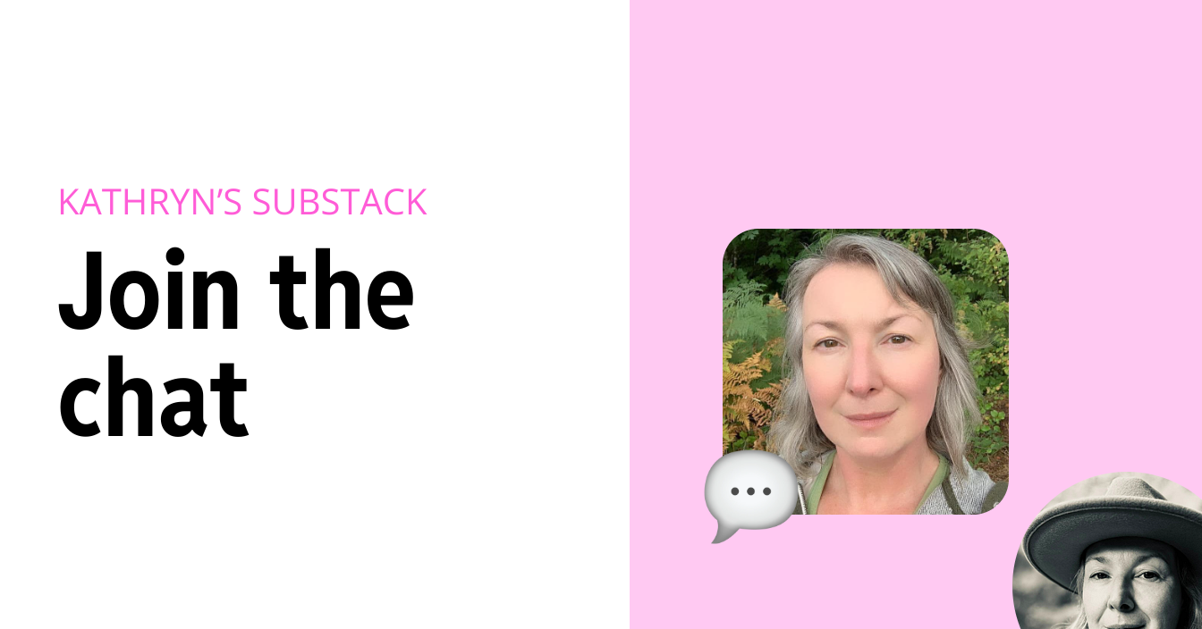 Kathryn’s Substack chat