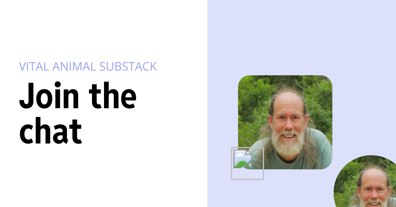 Vital Animal Substack chat