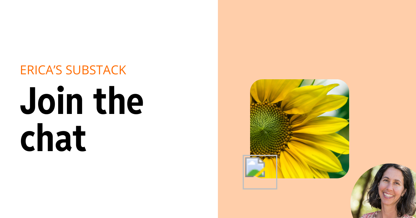 Erica’s Substack chat