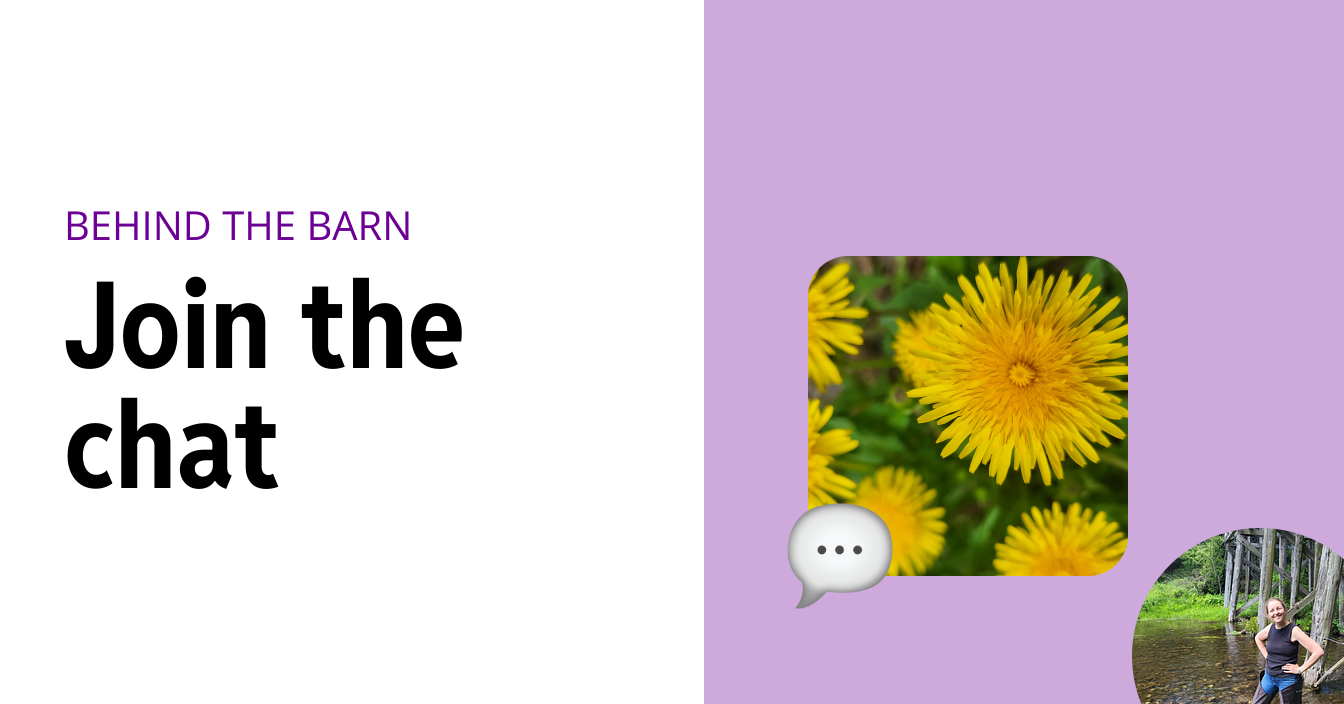 Behind the Barn chat