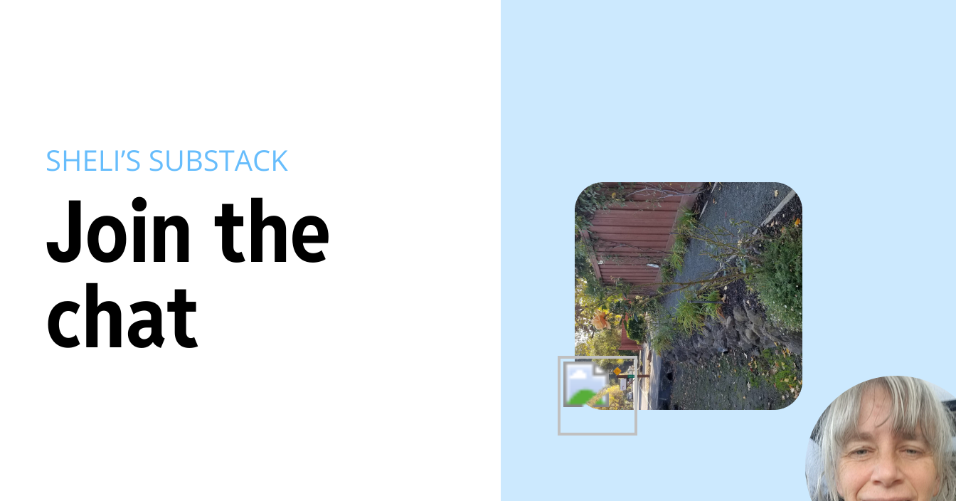 Sheli’s Substack chat