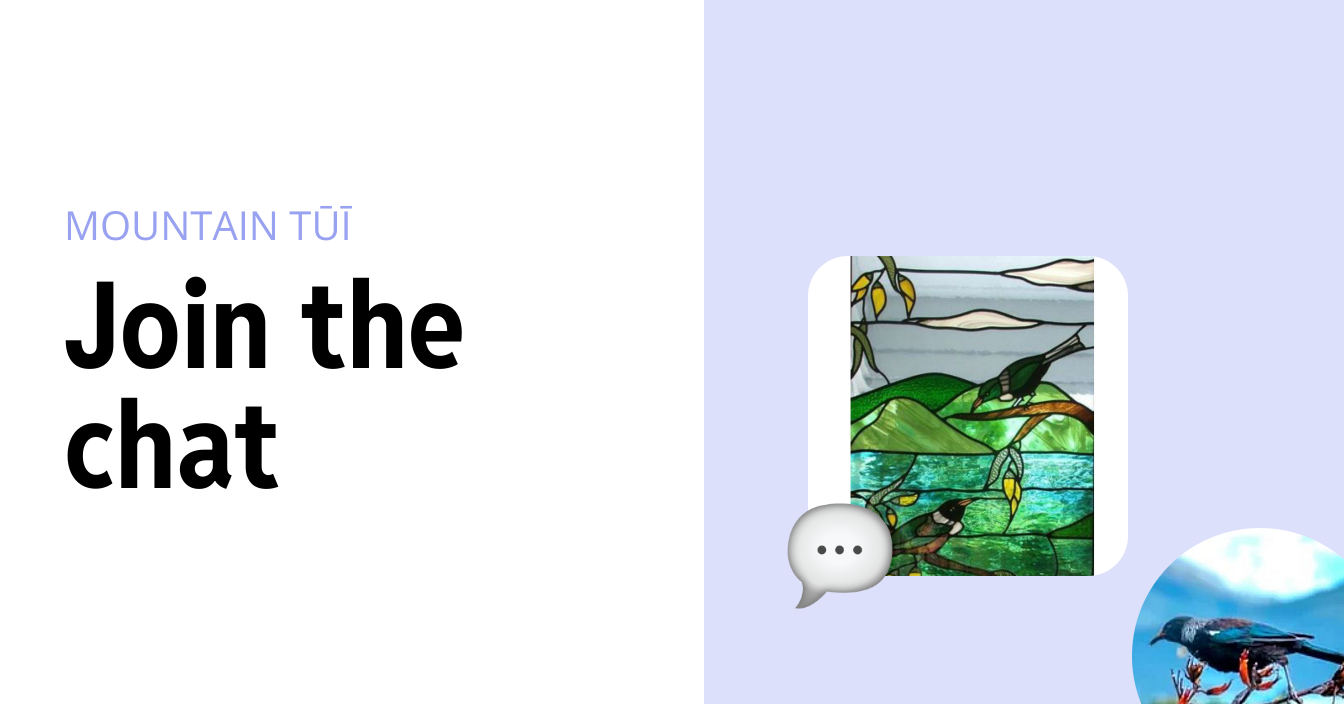 Mountain Tūī chat