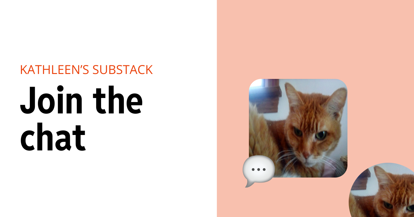 Kathleen’s Substack chat