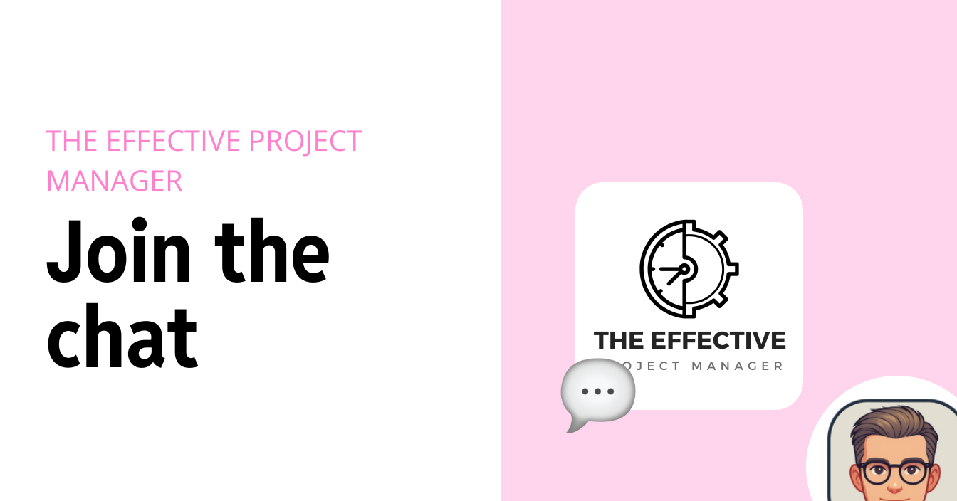 The Effective Project Manager chat