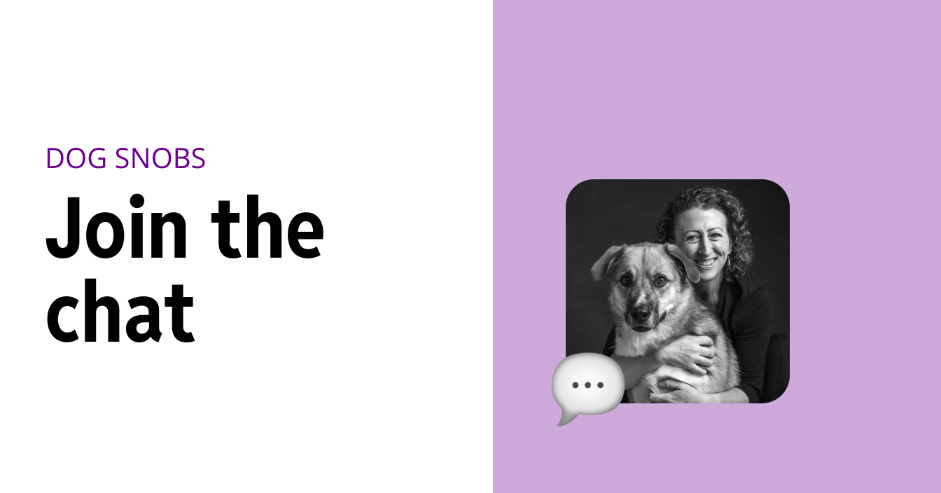 Dog Snobs chat