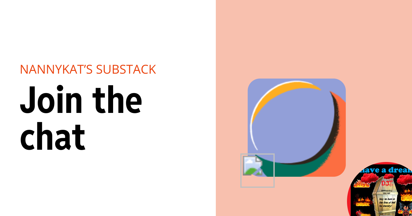 Nannykat’s Substack chat