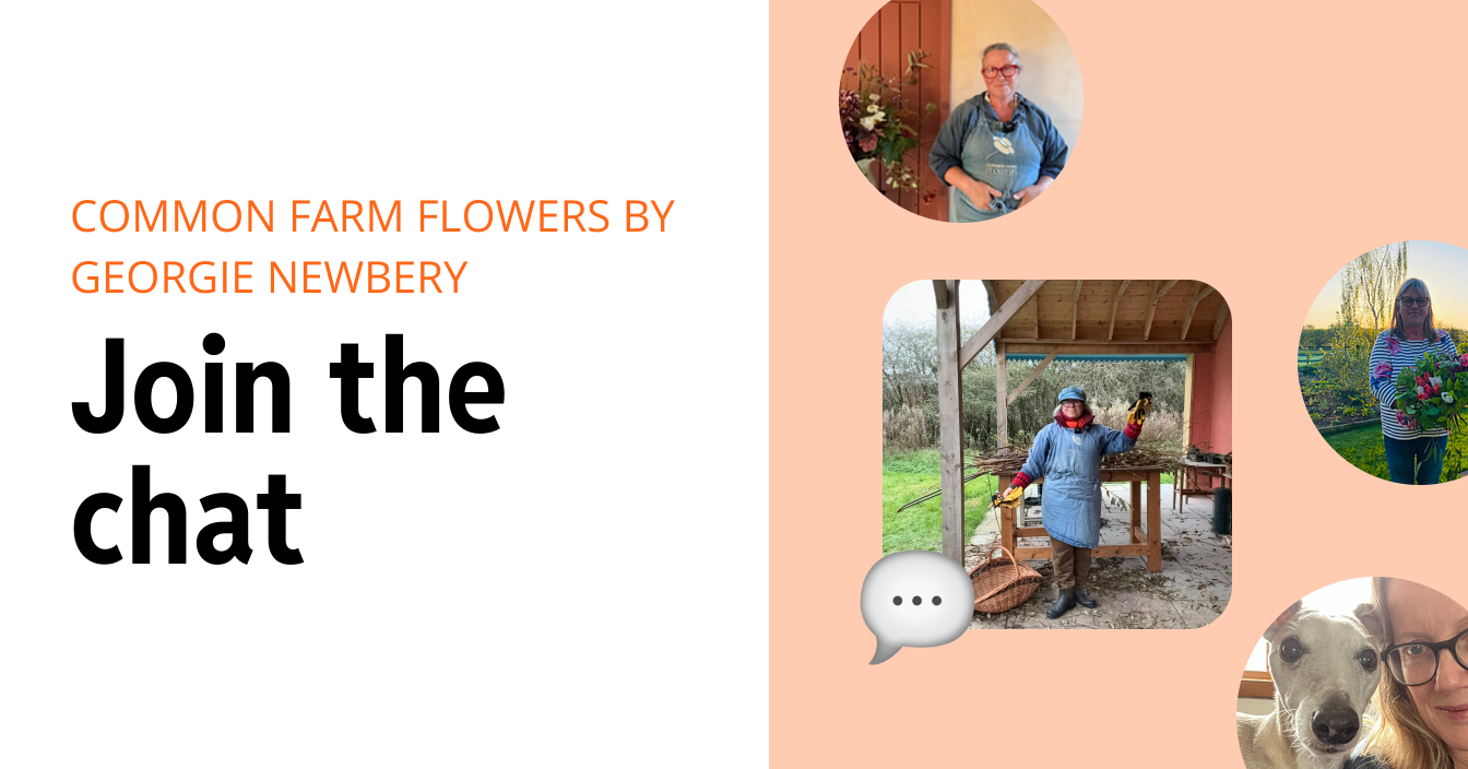 Common Farm Flowers by Georgie Newbery chat