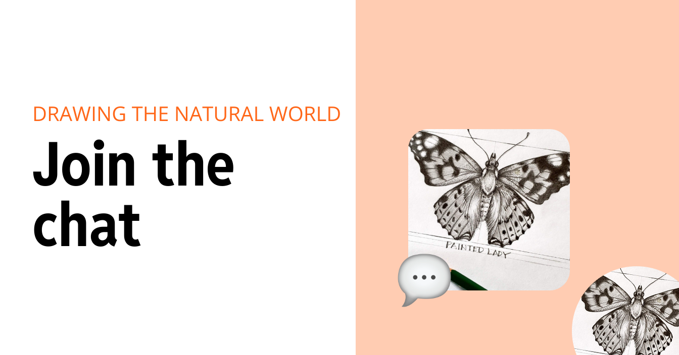 Drawing the Natural World chat