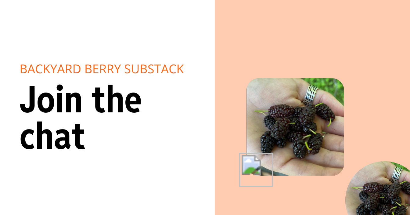 Backyard Berry Substack chat