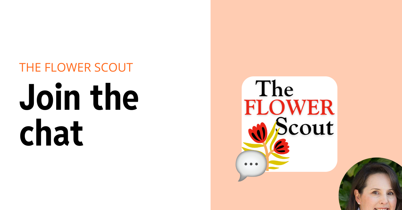 The Flower Scout chat