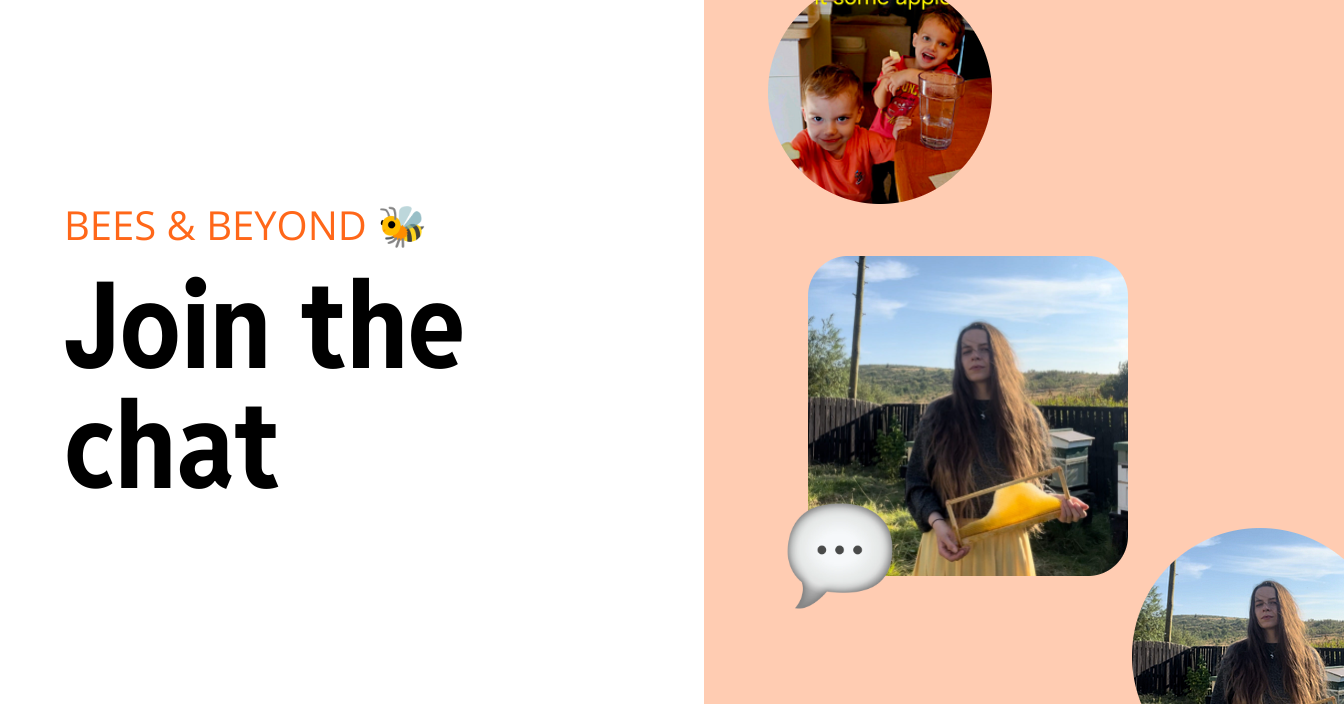 Bees & Beyond 🐝 chat