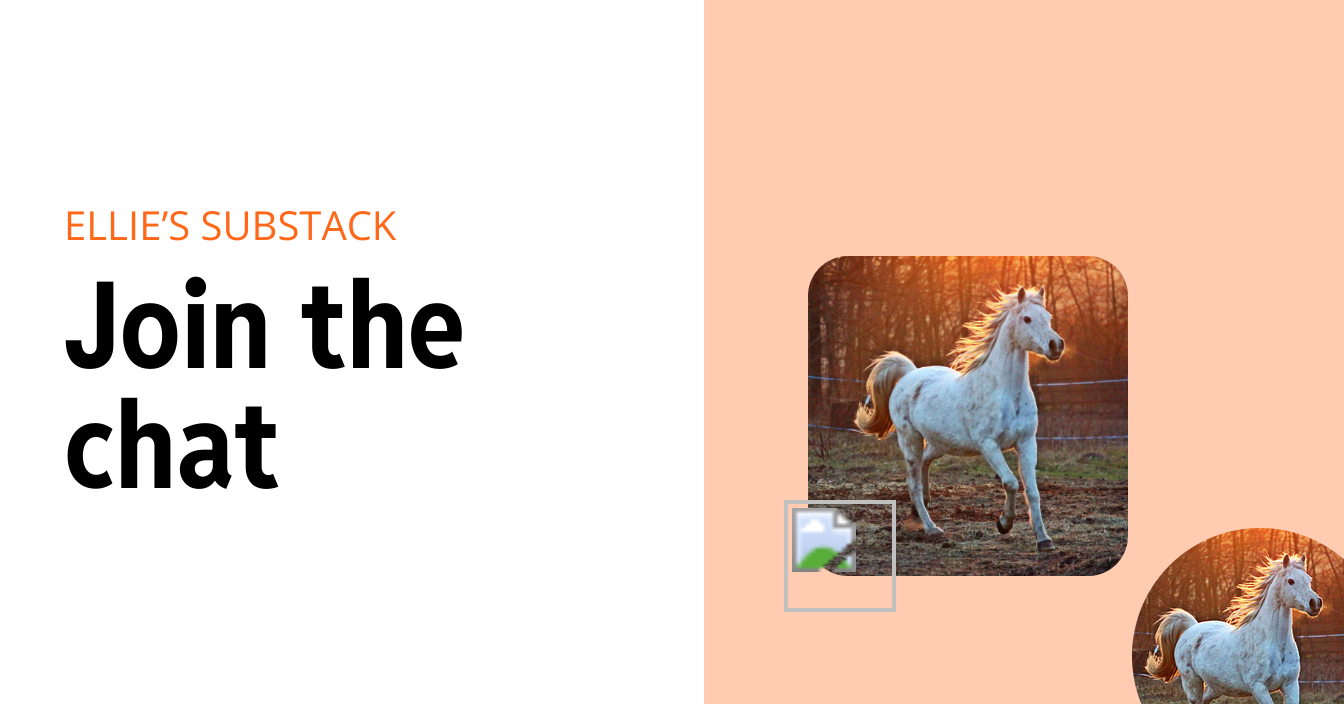 Ellie’s Substack chat