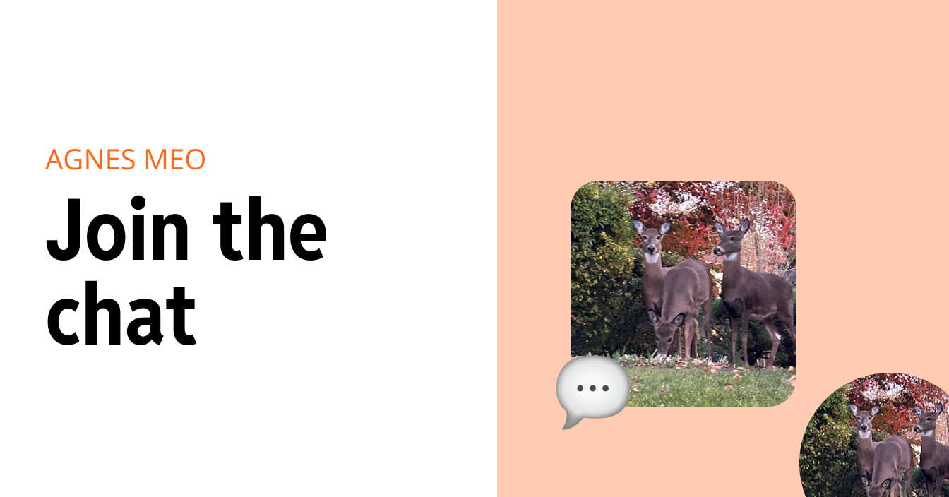 Agnes Meo chat