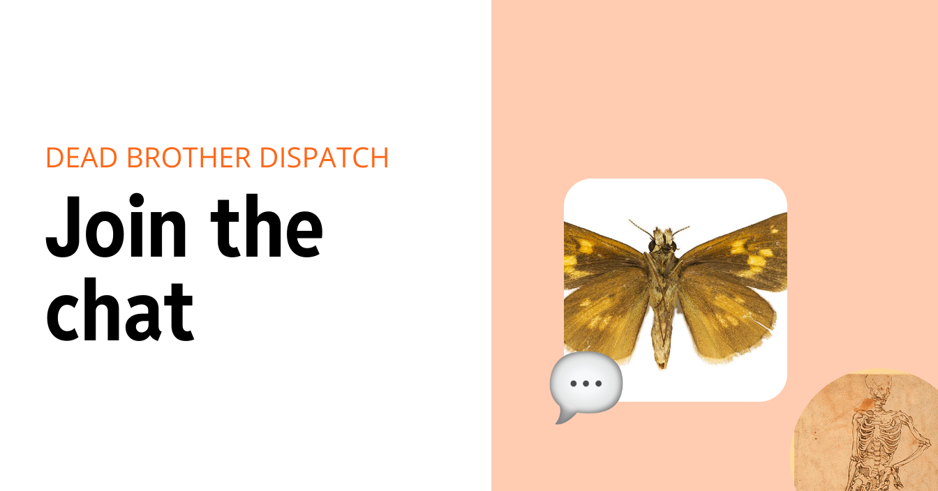 Dead Brother Dispatch chat