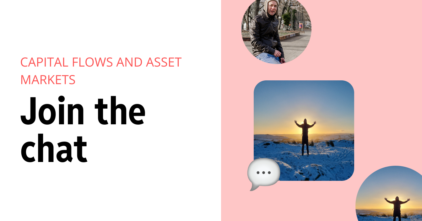 Capital Flows and Asset Markets chat