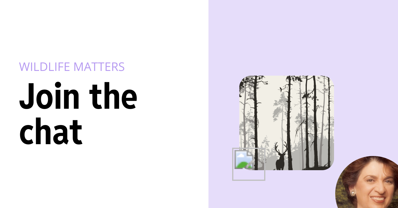 Wildlife Matters chat