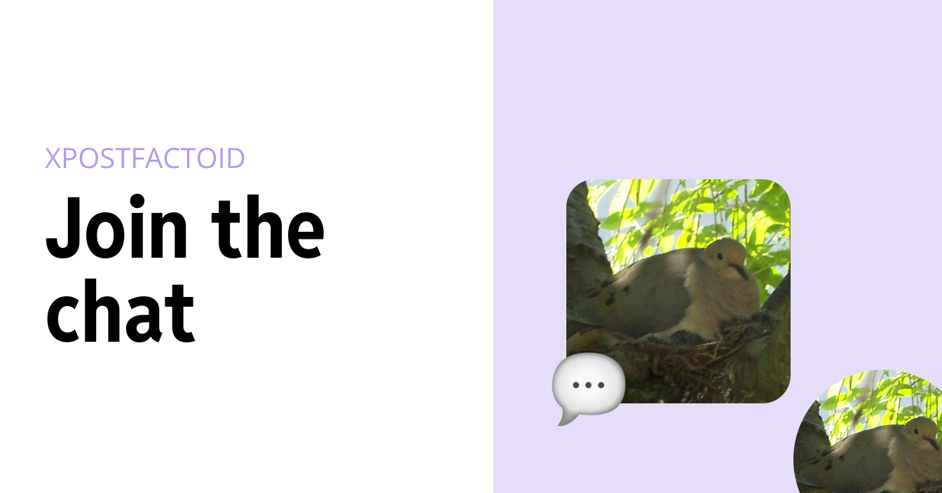 xpostfactoid chat