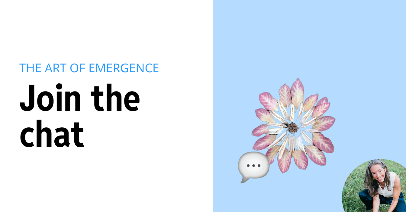 The Art of Emergence chat